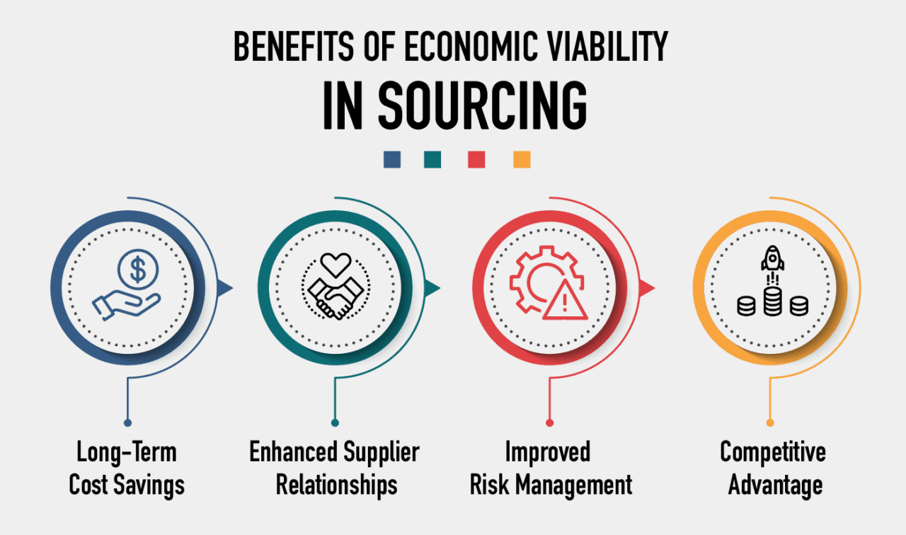 Economic Viability in Sustainable Sourcing: Ensuring Long-Term Success ...
